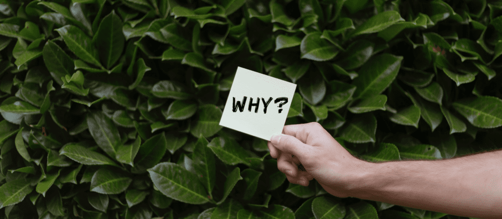 Why you should always ask "WHY"? - Steele Consulting Inc.